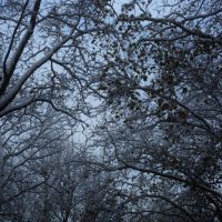 Sebastian Lewis – Law, Philosophy of Law, and Music